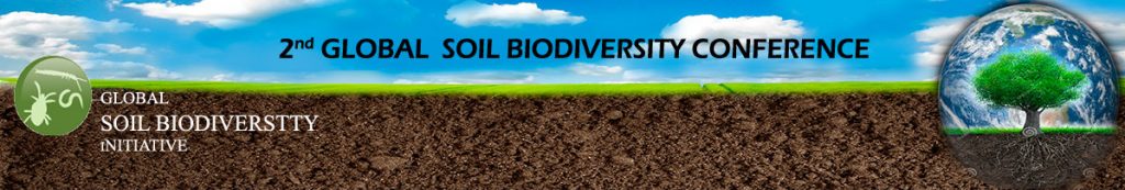 2nd Global Soil Biodiversity Conference | BIOINNOVA